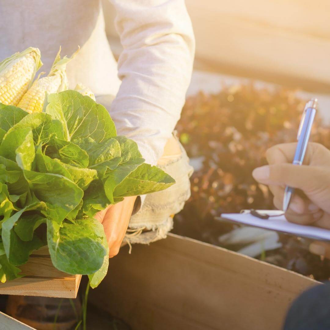 Vegetable Ink, The Eco-Friendly Ink | nu: – Nuco