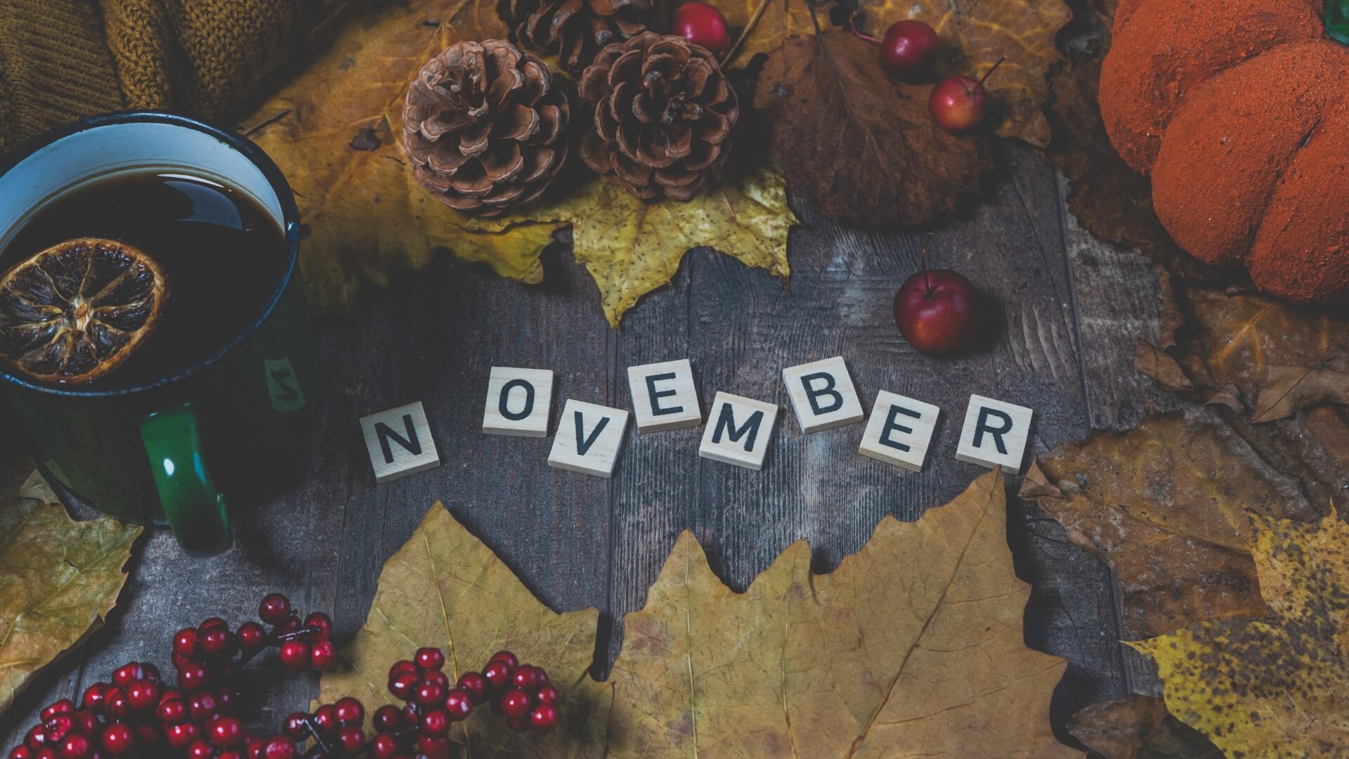 Things To Enjoy In November That Will Make You Happy | nu: notebooks – Nuco